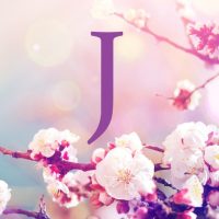 Julie Ecker – Cozy Mystery Author